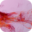 Specialty Chemical Ingredients Distributor in France | Safic-Alcan